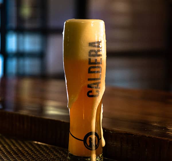 Partner With Us: Craft Beer Franchise in India - Caldera